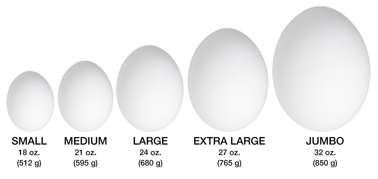 Characteristics of Eggs